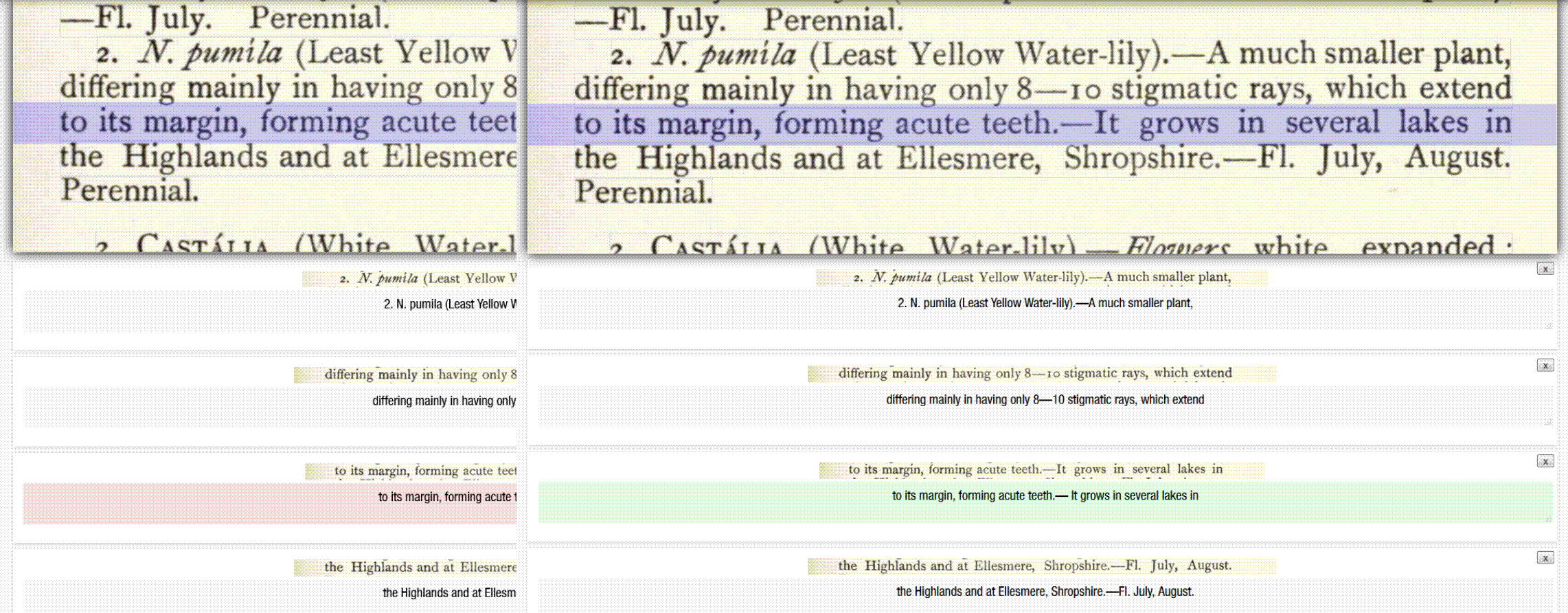 Digital Archive | Treventus